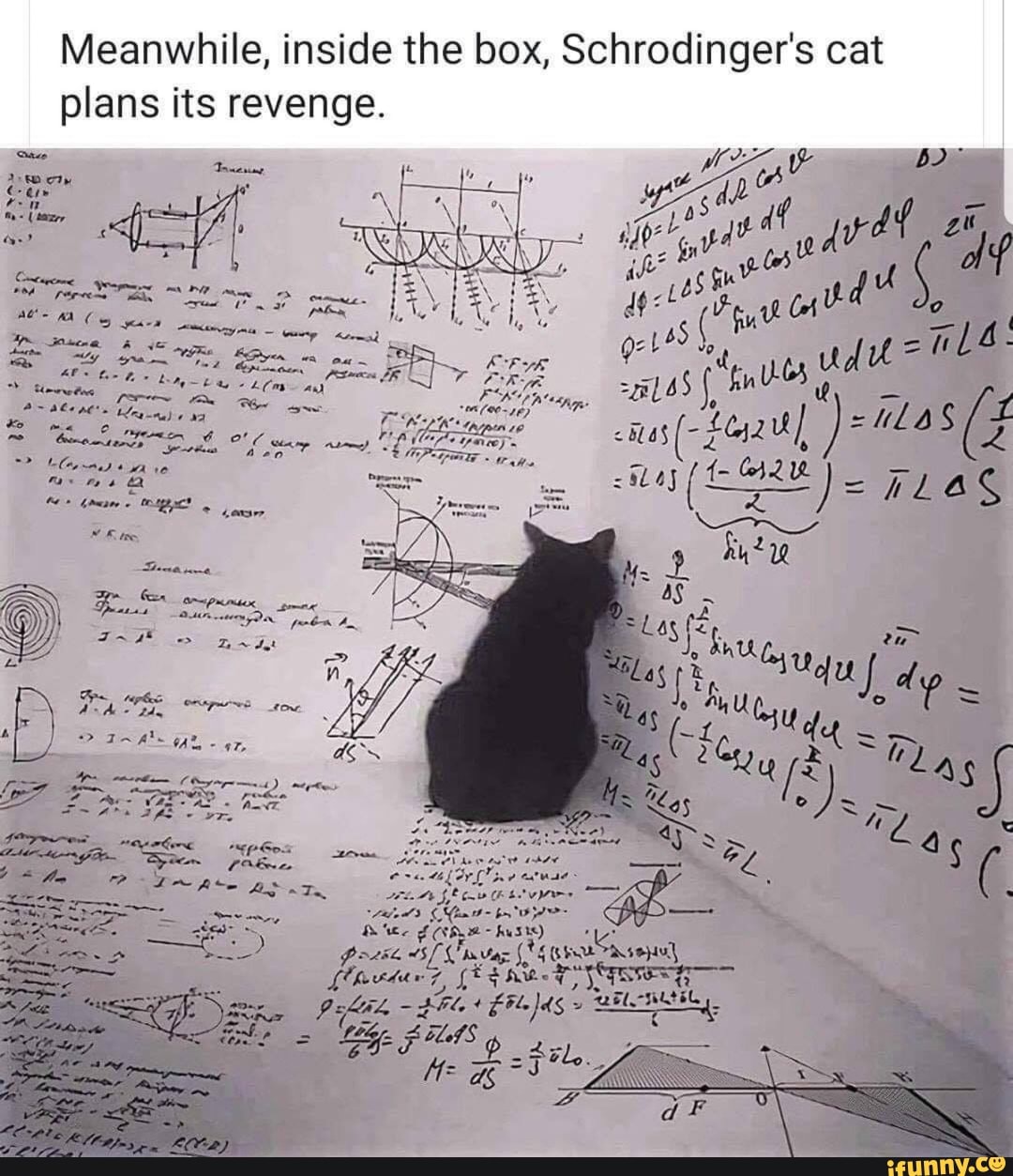 Meanwhile, inside the box, Schrodinger's cat plans its revenge. - iFunny