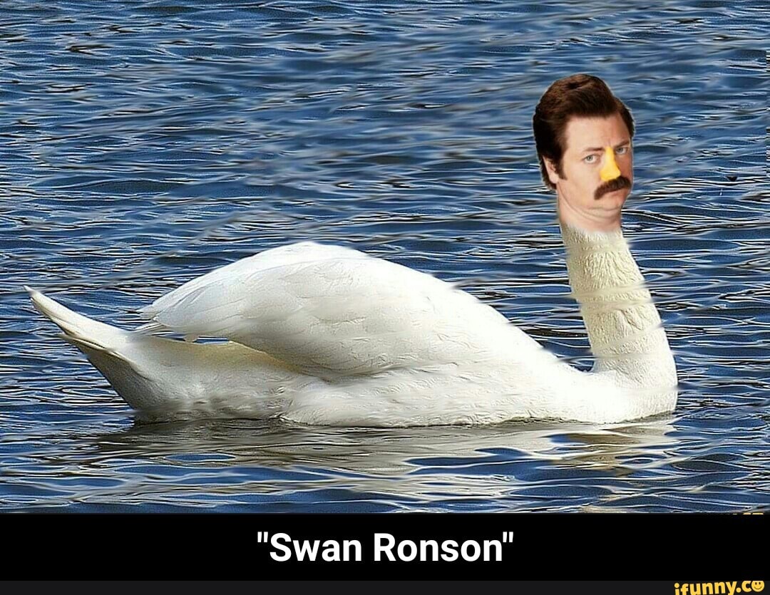 "Swan Ronson" - "Swan Ronson" - iFunny