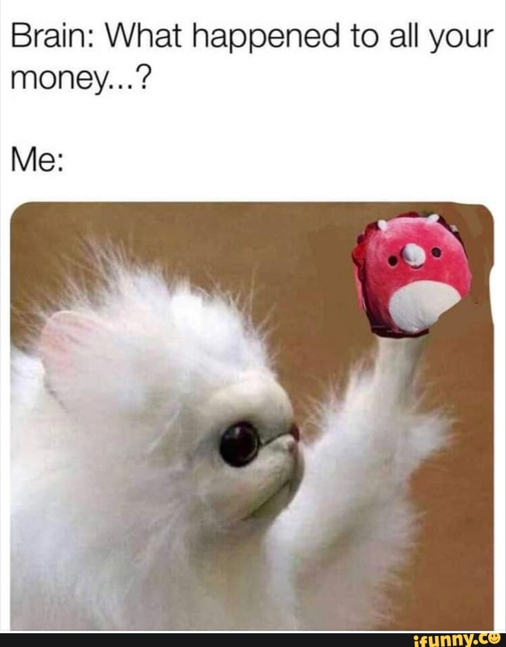 Squishmallow memes. Best Collection of funny Squishmallow pictures on ...