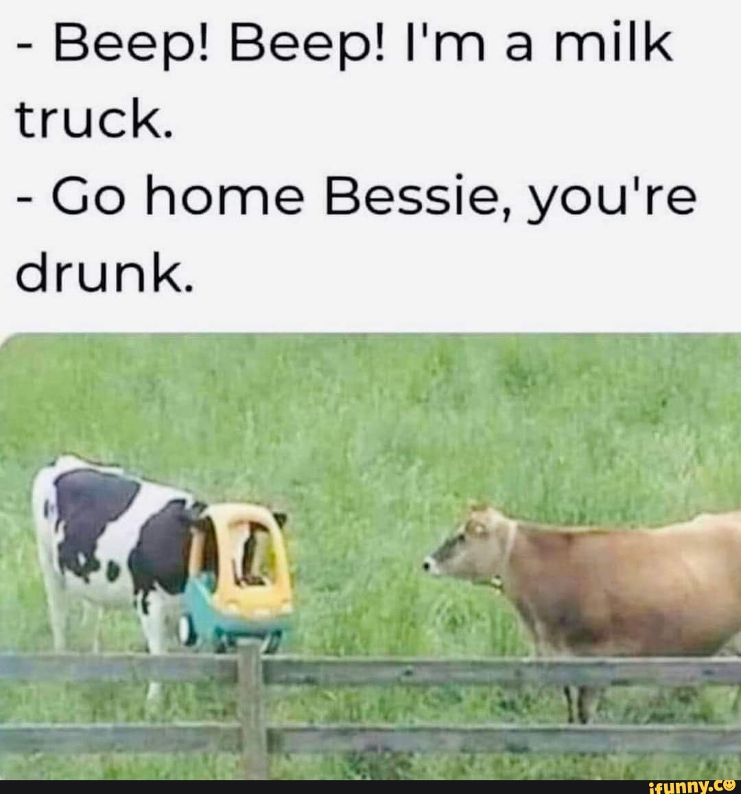 - Beep! Beep! I'm a milk truck. - Go home Bessie, you're drunk. - iFunny