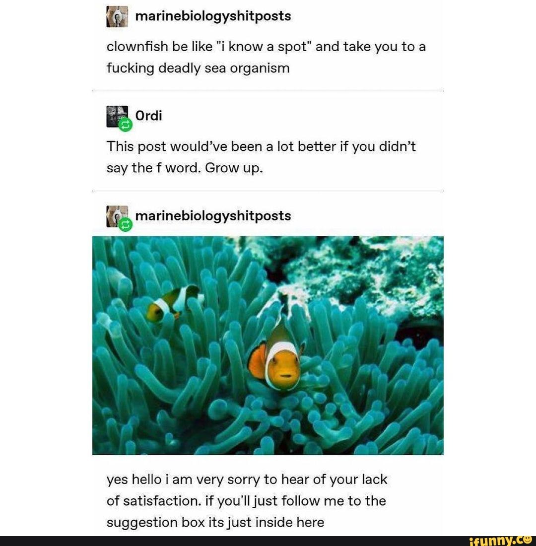 Marinebiologyshitposts memes. Best Collection of funny ...