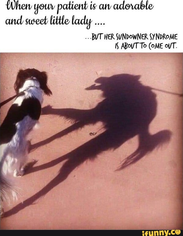 Sundowner memes. Best Collection of funny Sundowner pictures on iFunny