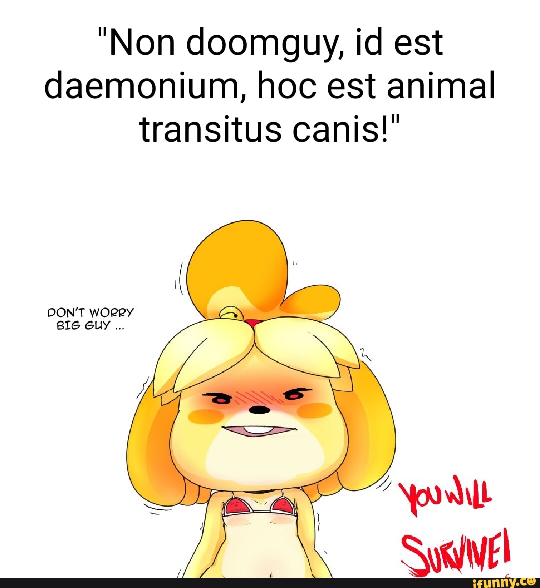 Canis memes. Best Collection of funny Canis pictures on iFunny