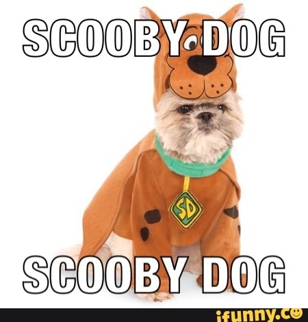 Scoobydog memes. Best Collection of funny Scoobydog pictures on iFunny