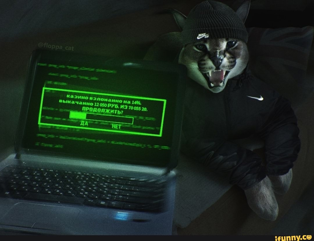 Hackerman memes. Best Collection of funny Hackerman pictures on iFunny