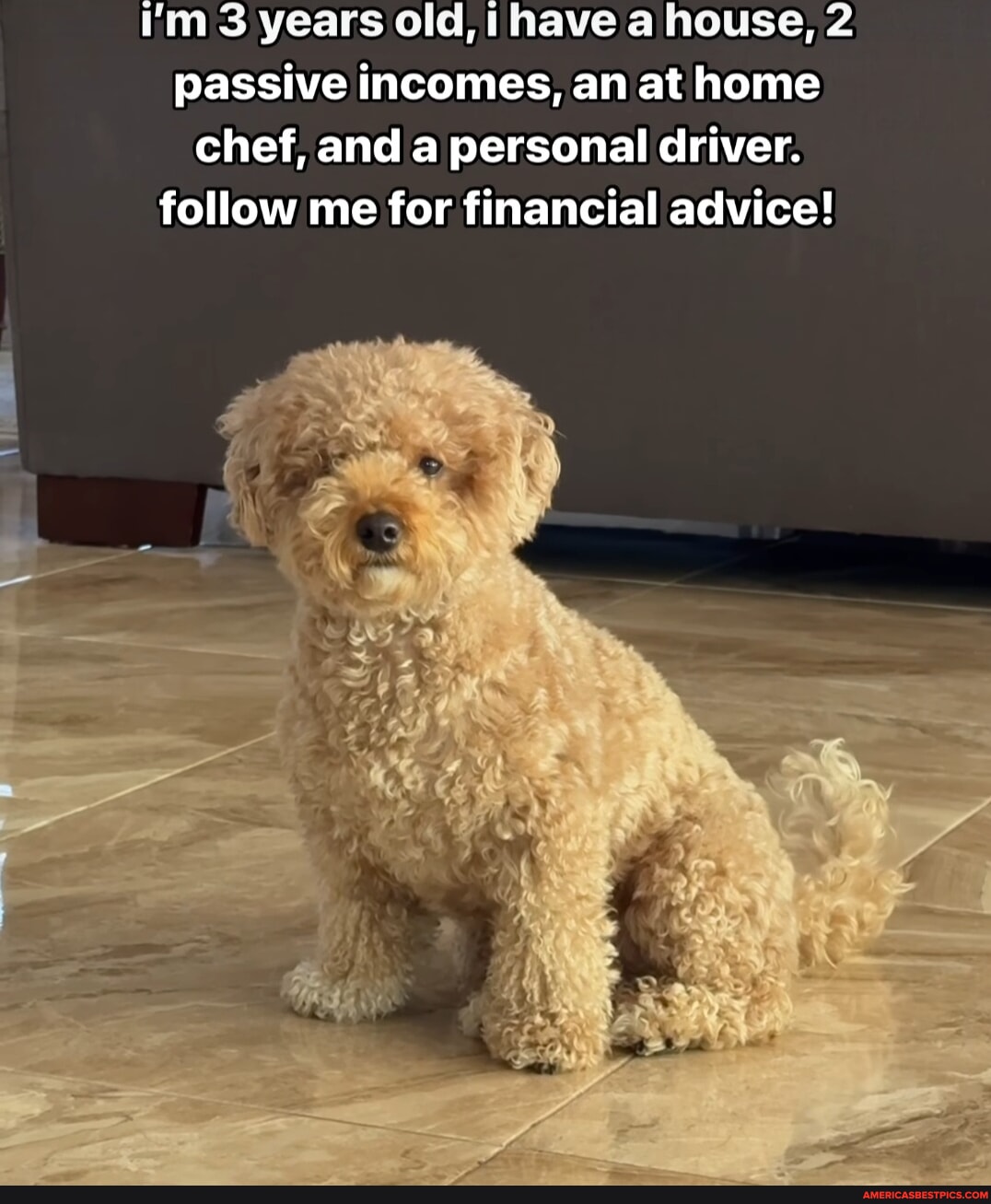 I'm 3 years old, have a house, 2 passive incomes, an at home chef, and ...