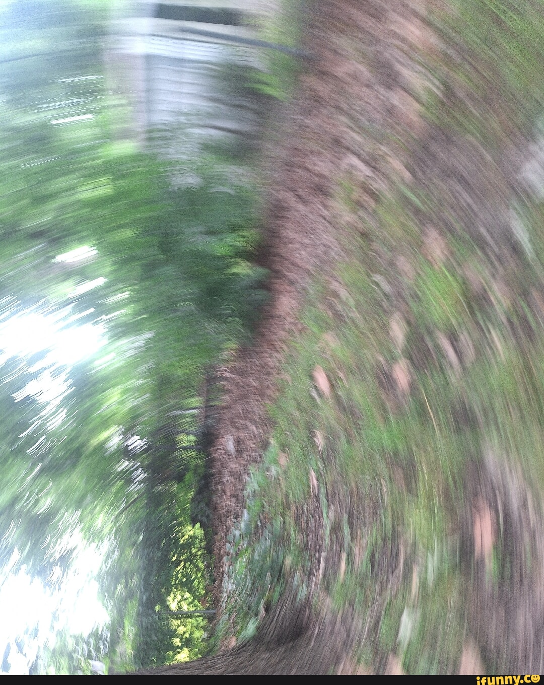 Dropped memes. Best Collection of funny Dropped pictures on iFunny