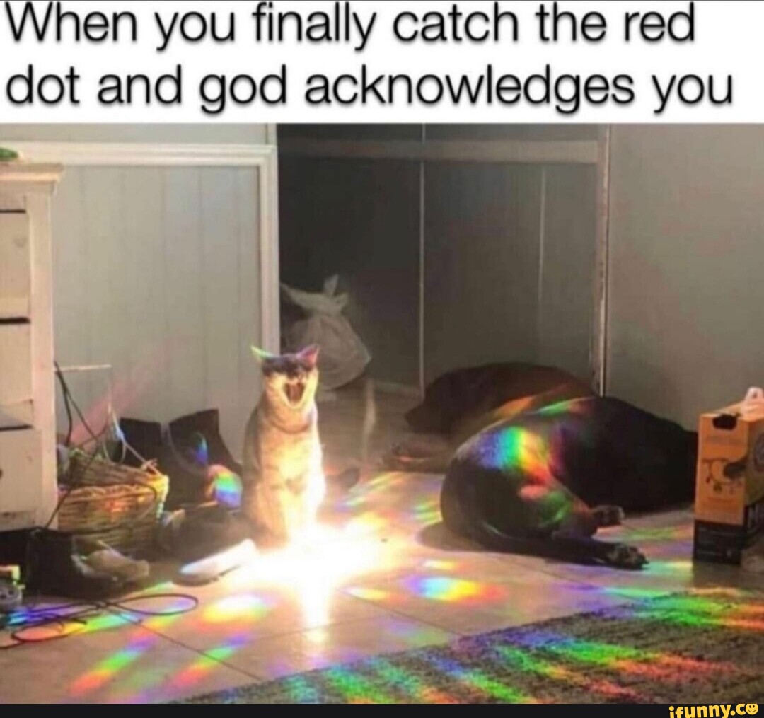 When you finally catch the red dot and god acknowledges you an l - iFunny
