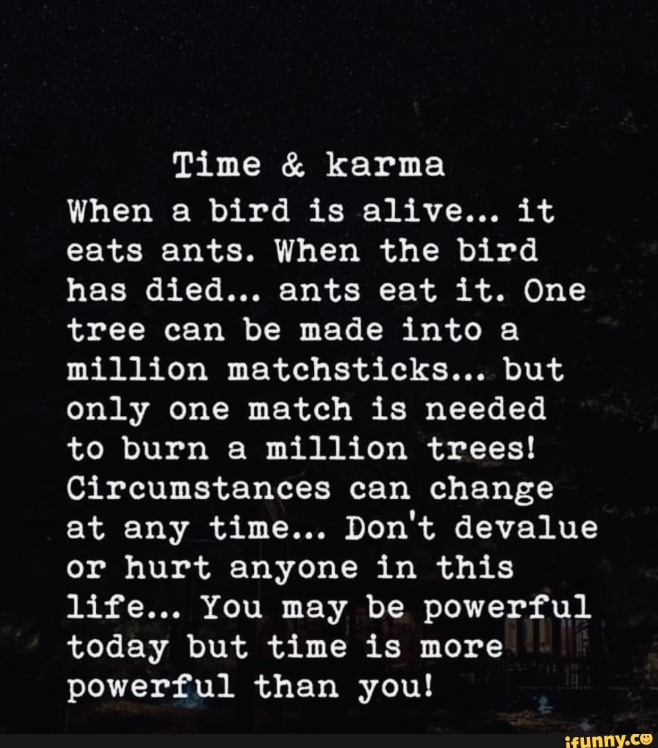 Karma Bird