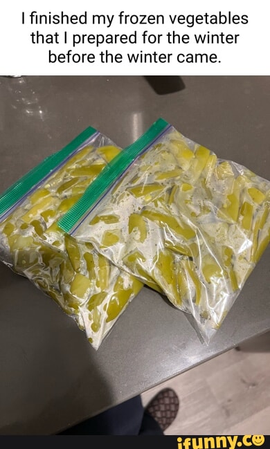 Winter memes. Best Collection of funny Winter pictures on iFunny