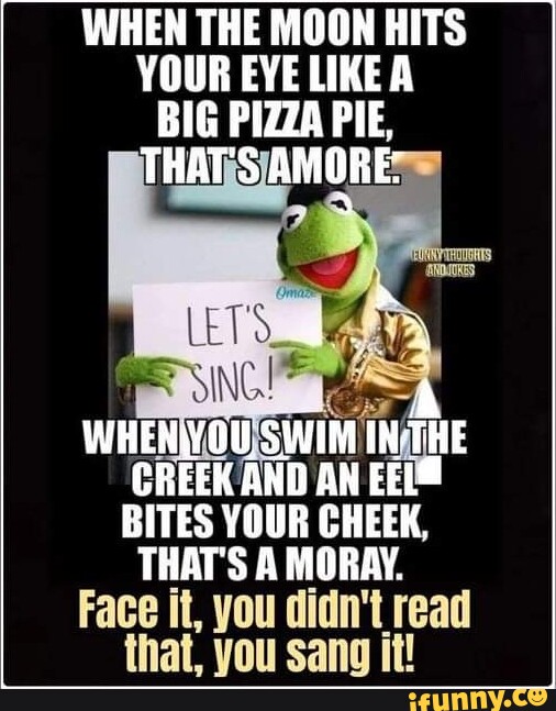 Moray memes. Best Collection of funny Moray pictures on iFunny