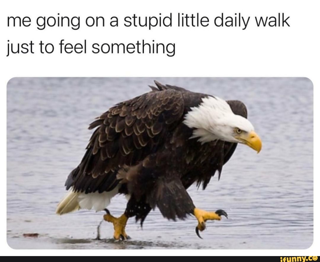 Me going on a stupid little daily walk just to feel something - iFunny
