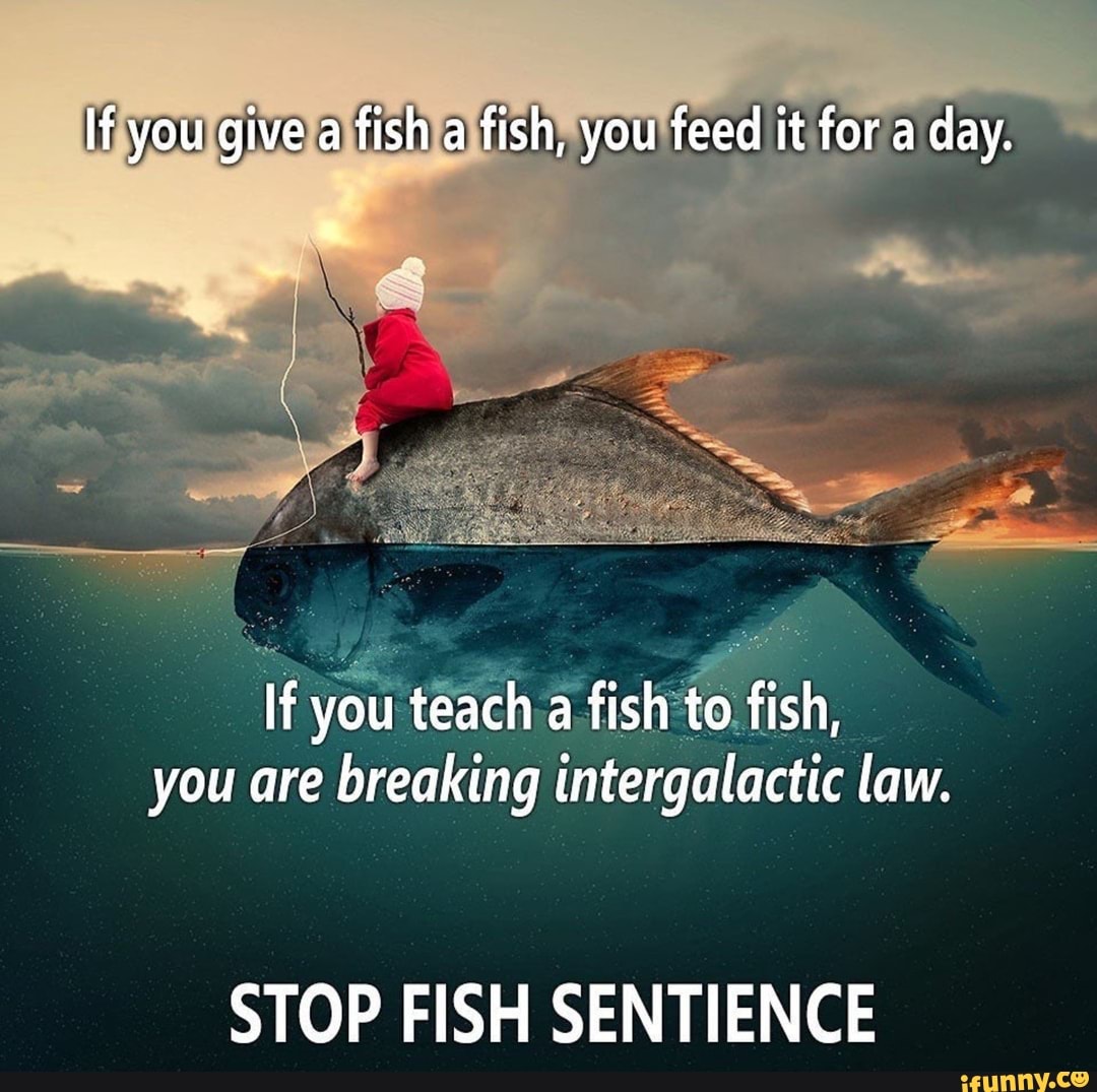 If you give a fish a fish, you feed it for a day. If you teach a fish ...