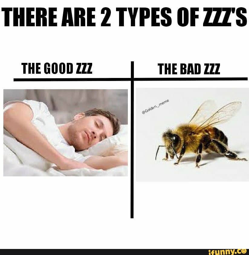 THERE ARE 2 TYPES OF ZZ7'S THE GOOD THE BAD ZZZ - iFunny