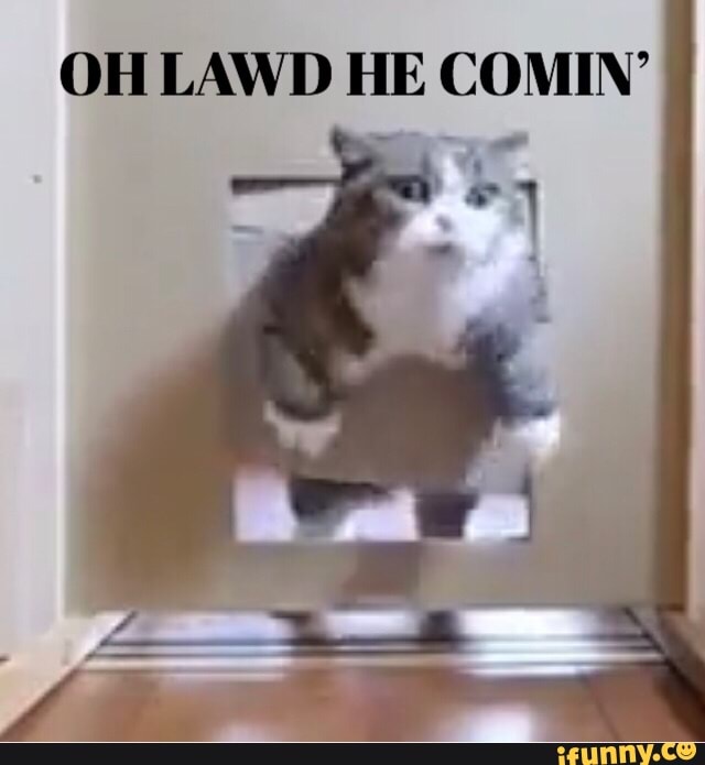 OH LAWD HE COMIN’ - )