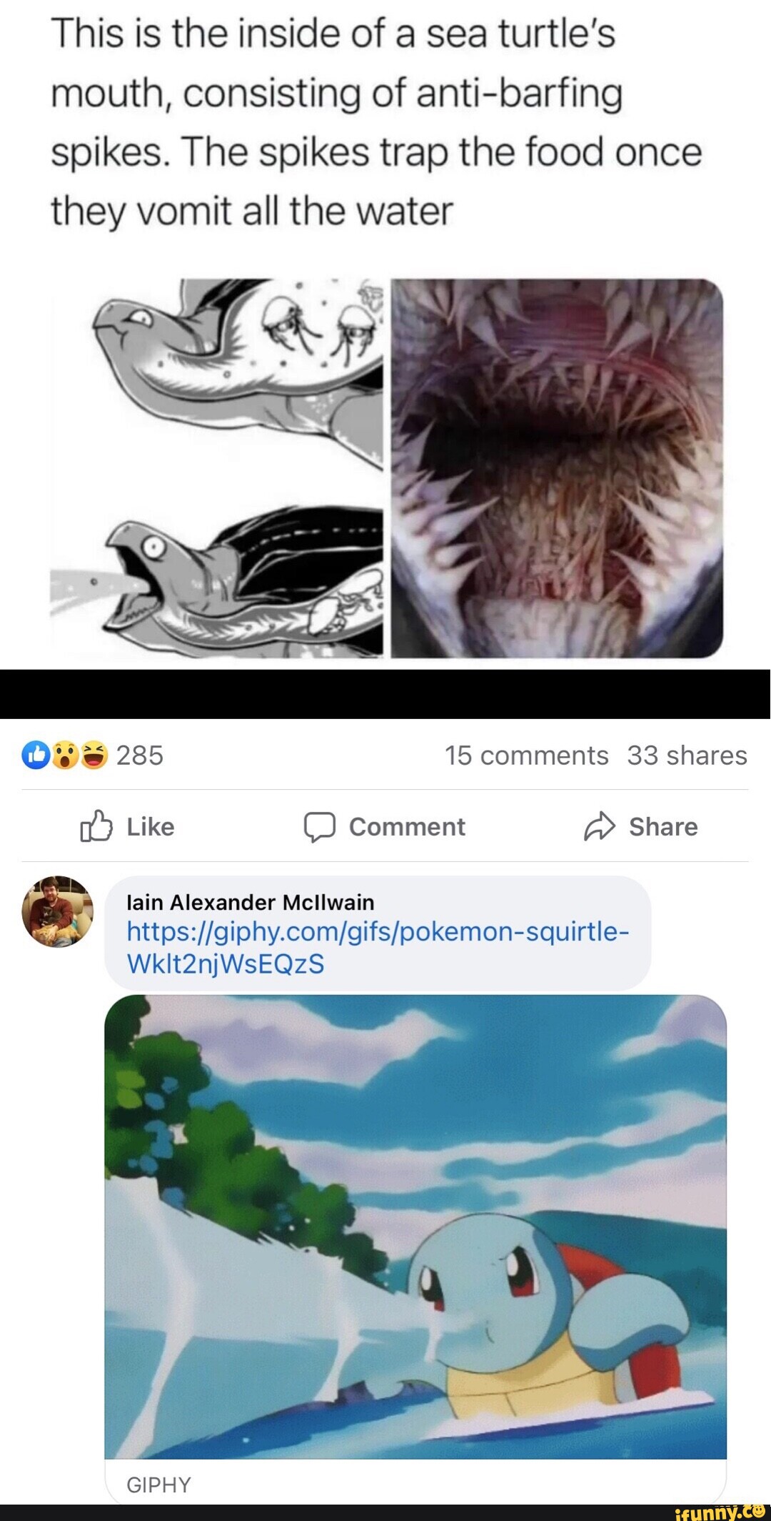 This is the inside of a sea turtle's mouth, consisting of anti-barfing ...