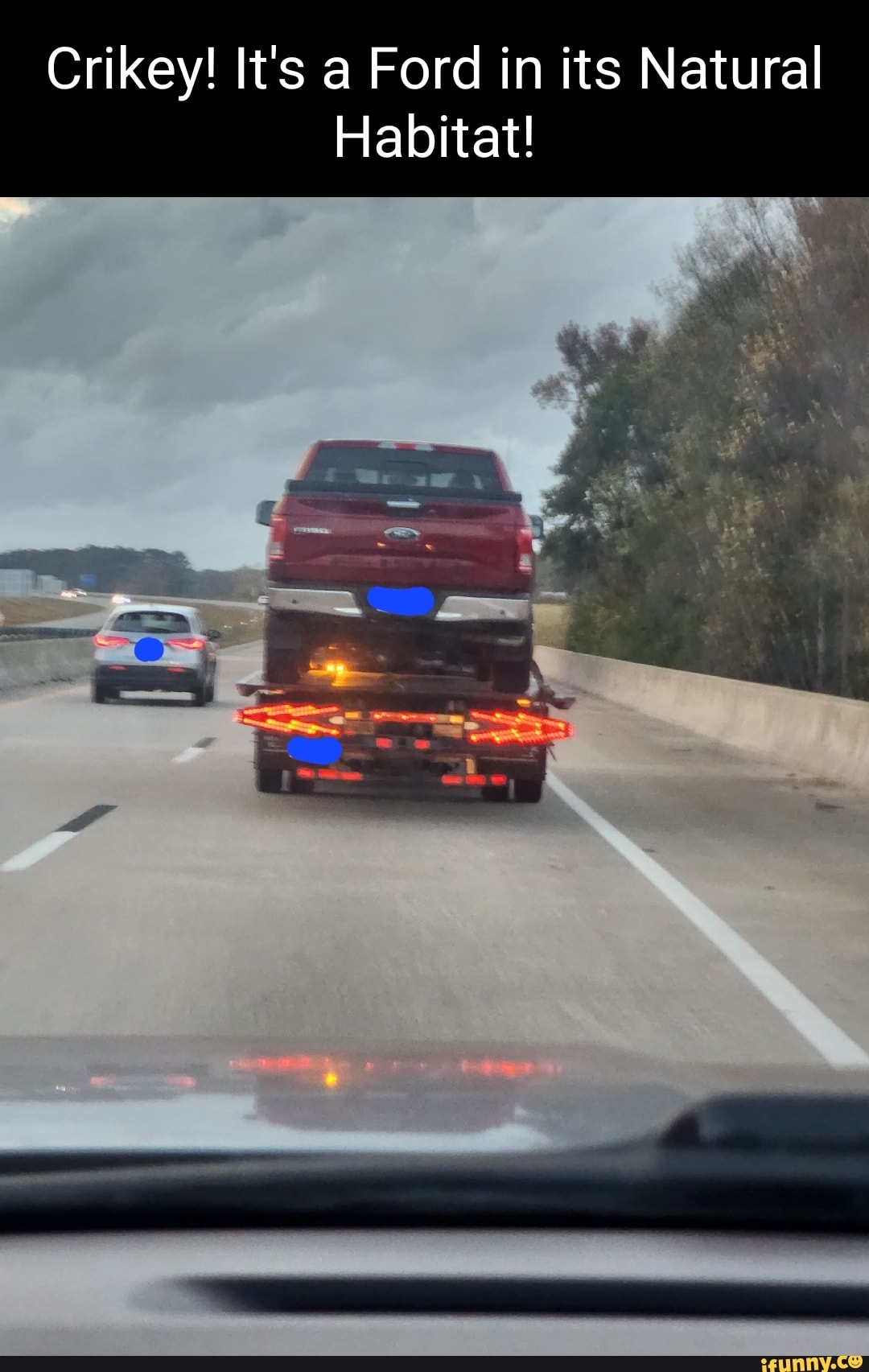 Crikey! It's a Ford in its Natural Habitat! - iFunny