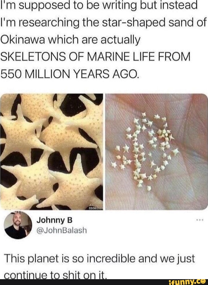 Okinawa memes. Best Collection of funny Okinawa pictures on iFunny