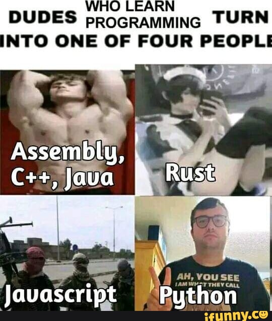 WHO LEARN DUDES procramminc TURN INTO ONE OF FOUR PEOPLE Assemblu, Javascript Python - iFunny