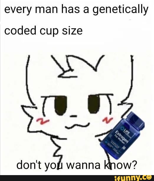 I every man has a genetically coded cup size don't yo wanna know? - iFunny
