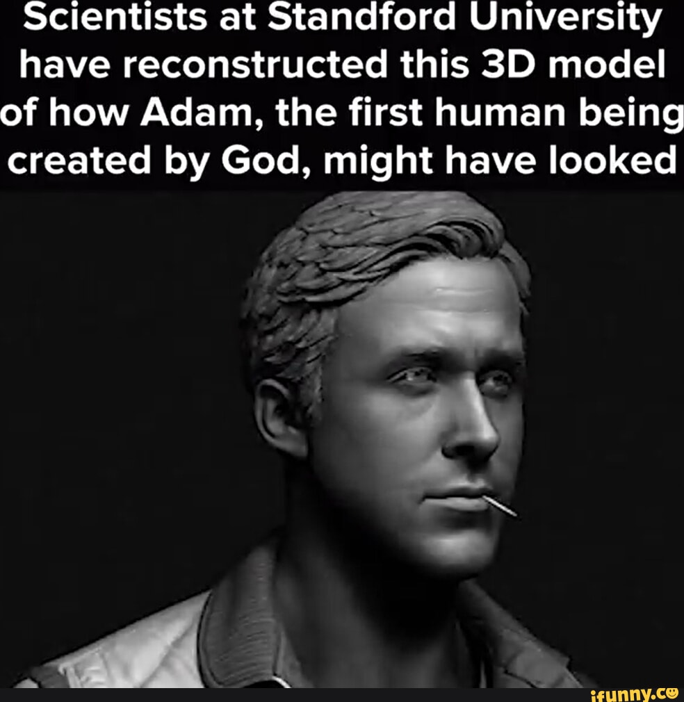 Scientists at Standford University have reconstructed this model of how ...