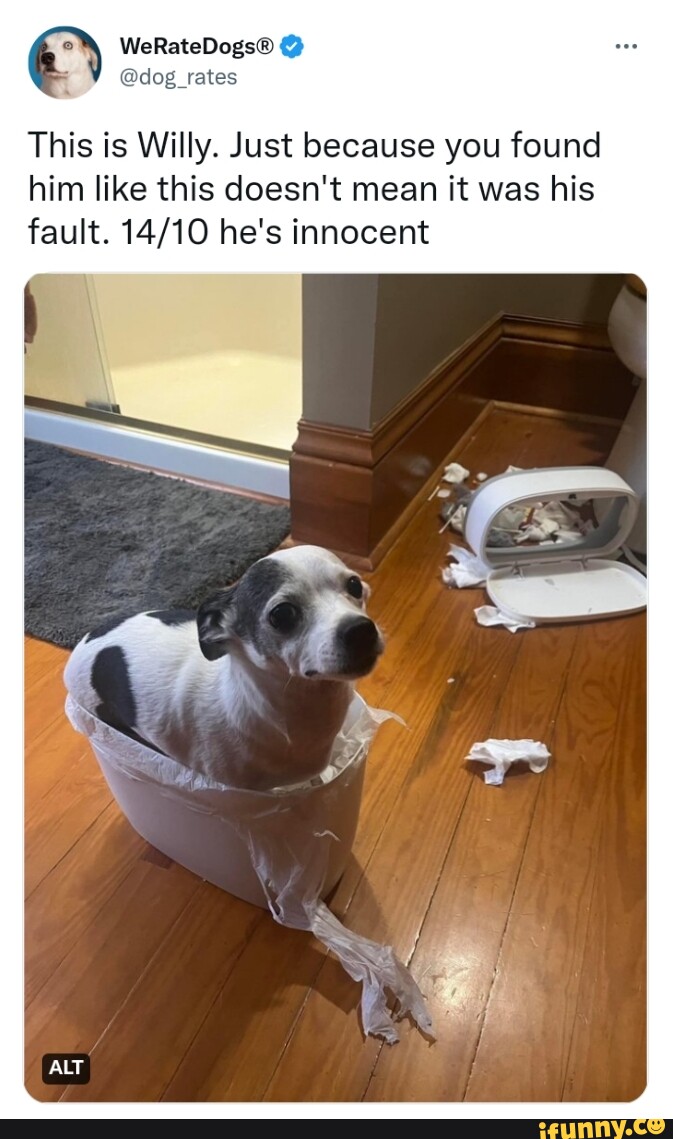 Picture memes 2lnbCGWn6 by TheHound_is_gay_2019: 320 comments - iFunny