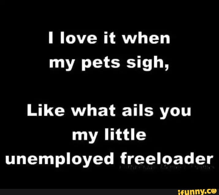 Freeloader memes. Best Collection of funny Freeloader pictures on iFunny