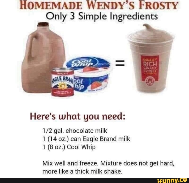 HOMEMADE WENDY'S FROSTY Only 3 Simple Ingredients Here's what you need ...