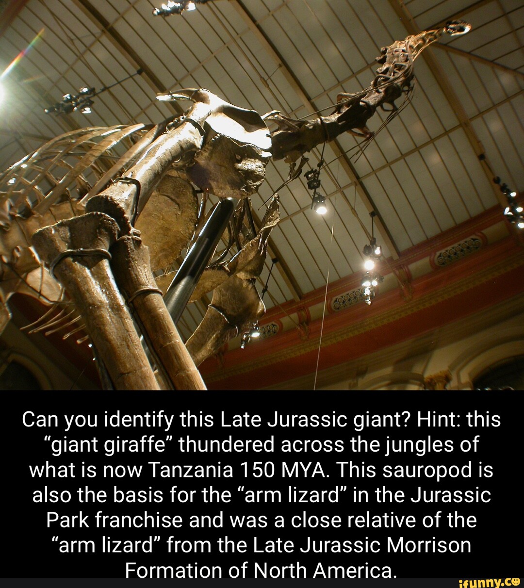 Can you identify this Late Jurassic giant? Hint: this "giant giraffe ...