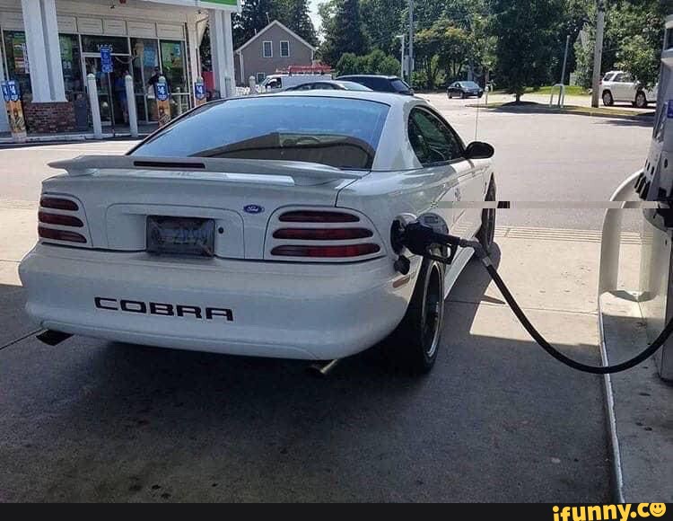 Xnxx memes. Best Collection of funny Xnxx pictures on iFunny