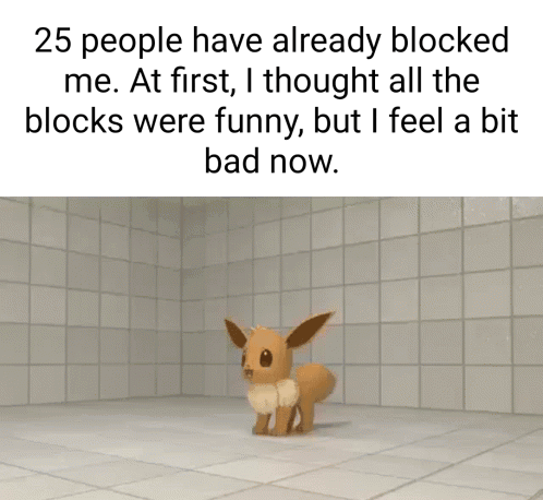 25 people have already blocked me. At first, I thought all the blocks ...