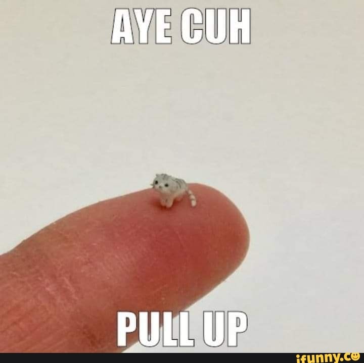 AYE CUH PULL UP - iFunny