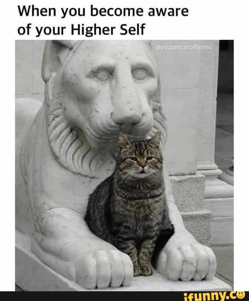 When you become aware of your Higher Self - iFunny