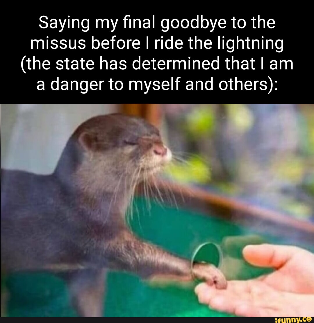 Determined memes. Best Collection of funny Determined pictures on iFunny