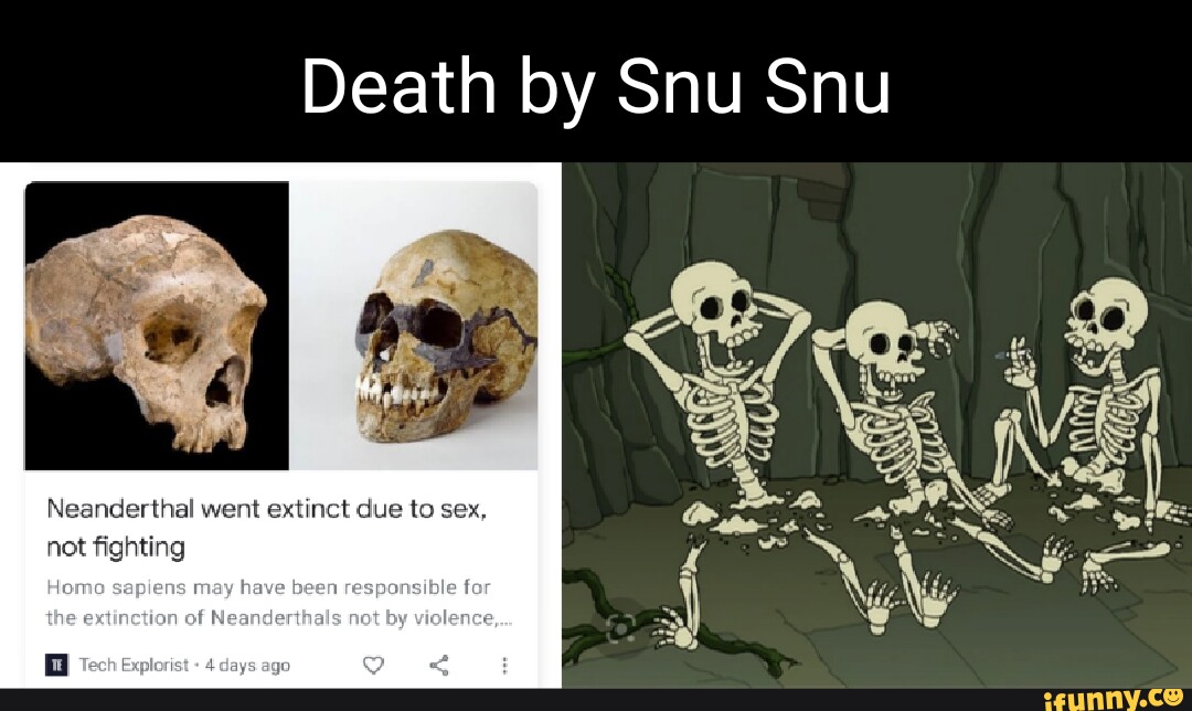 Snu Snu