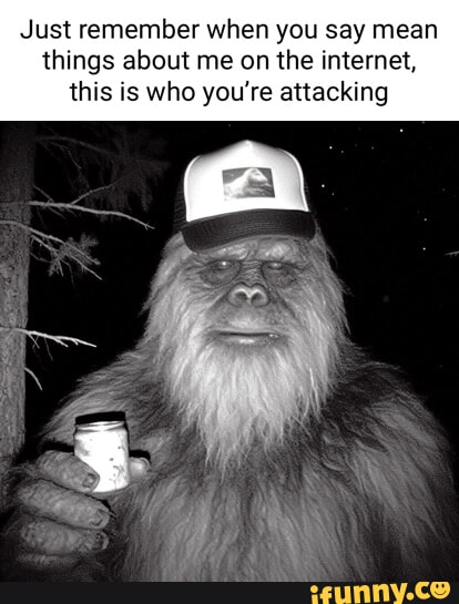 Ist remember when you say mean things about me on the internet, this is ...