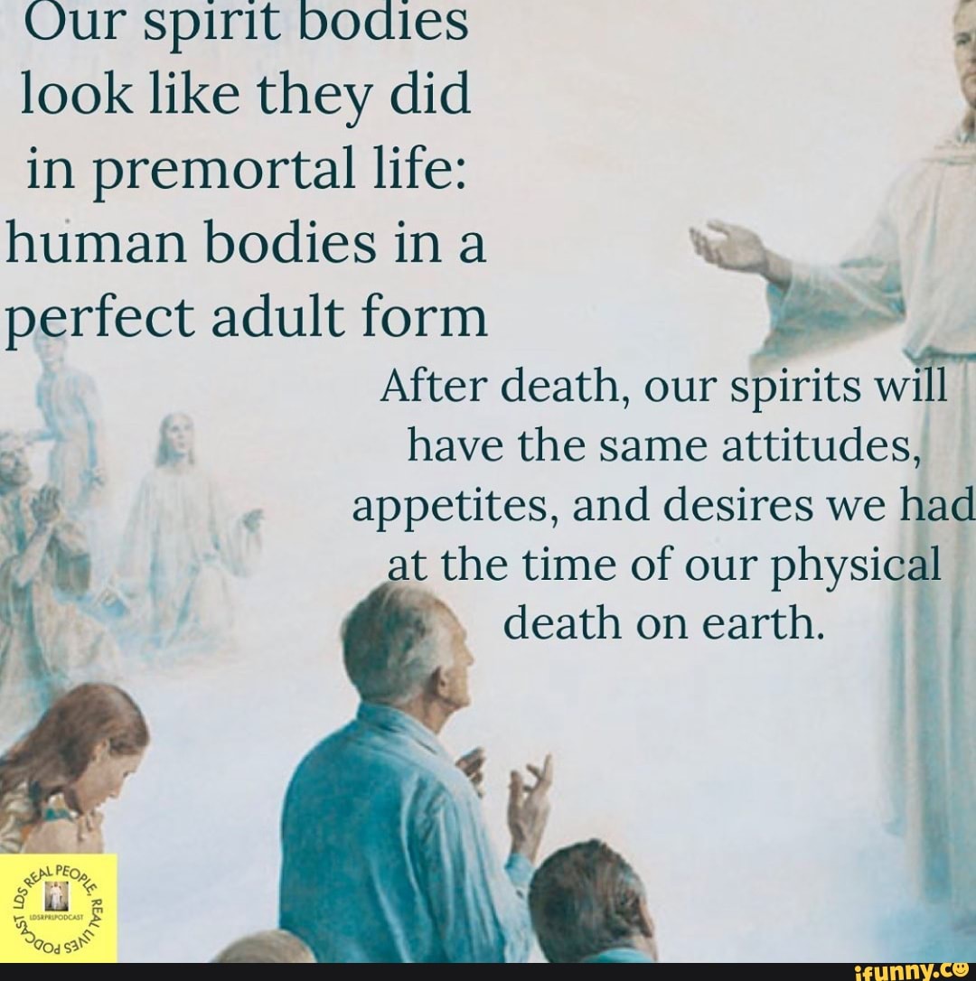 Our spirit bodies look like they did in premortal life: human bodies in ...