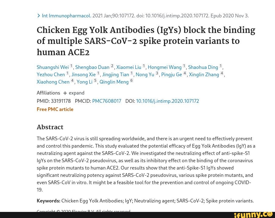 Shengbao memes. Best Collection of funny Shengbao pictures on iFunny