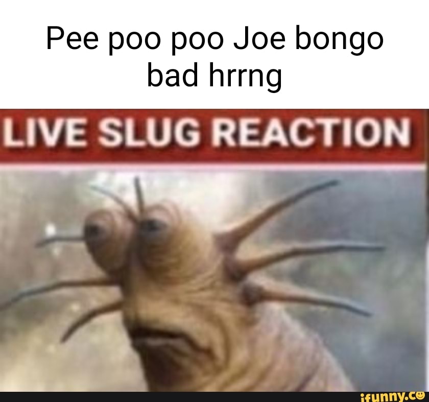 Livefemboycoochie memes. Best Collection of funny Livefemboycoochie ...