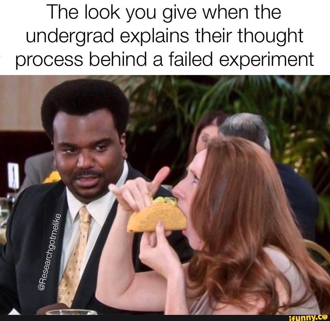 The look you give when the undergrad explains their thought process ...