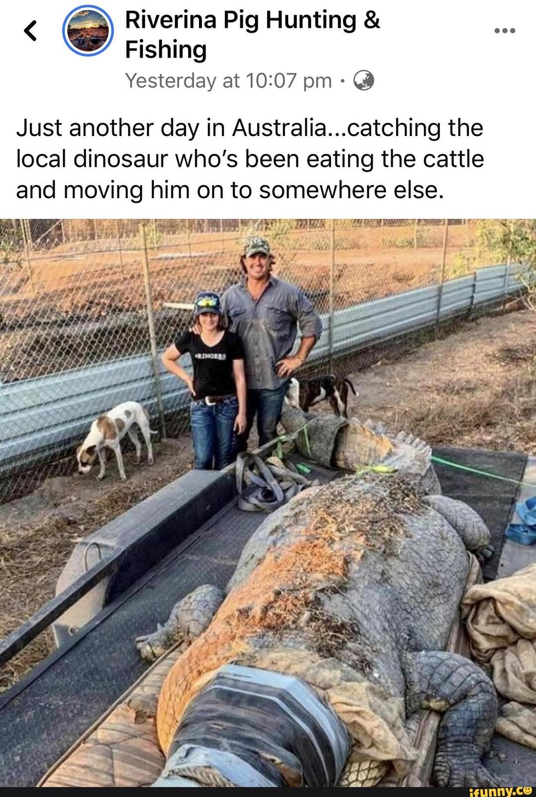Riverina Pig Hunting & Fishing Yesterday at pm - @ Just another day in ...