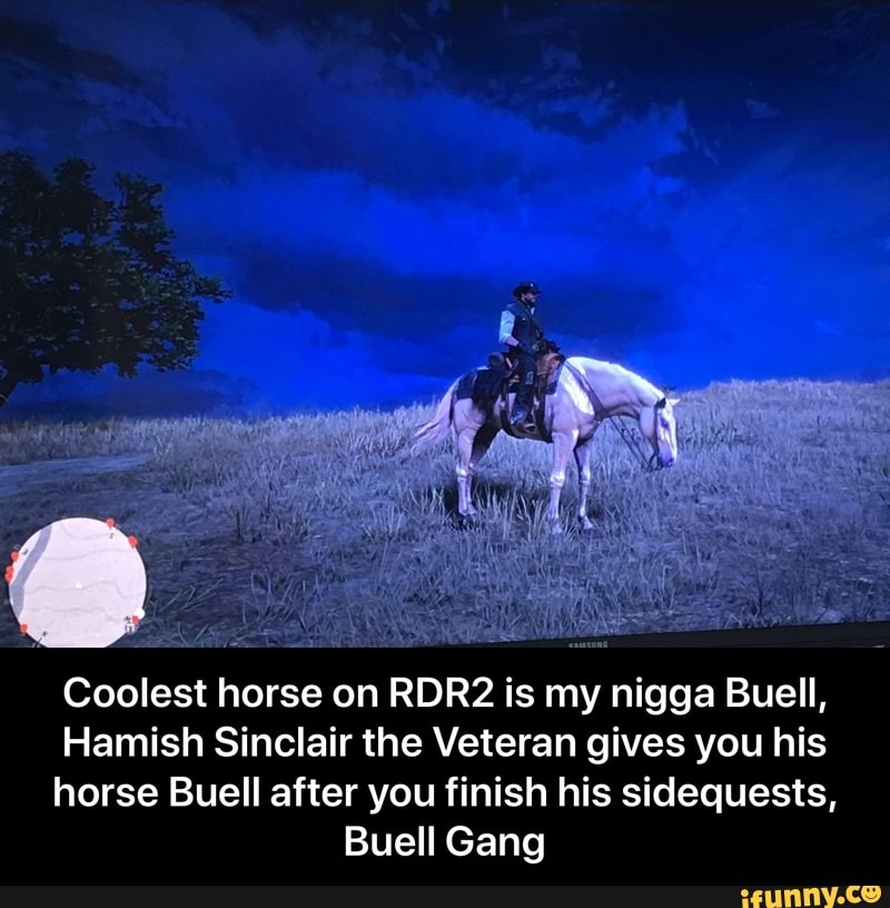 Coolest horse on RDR2 is my nigga Buell, Hamish Sinclair the Veteran ...