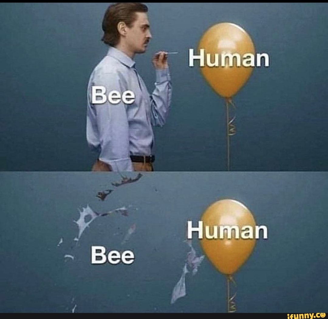 Human Bee Kuman Bee - iFunny