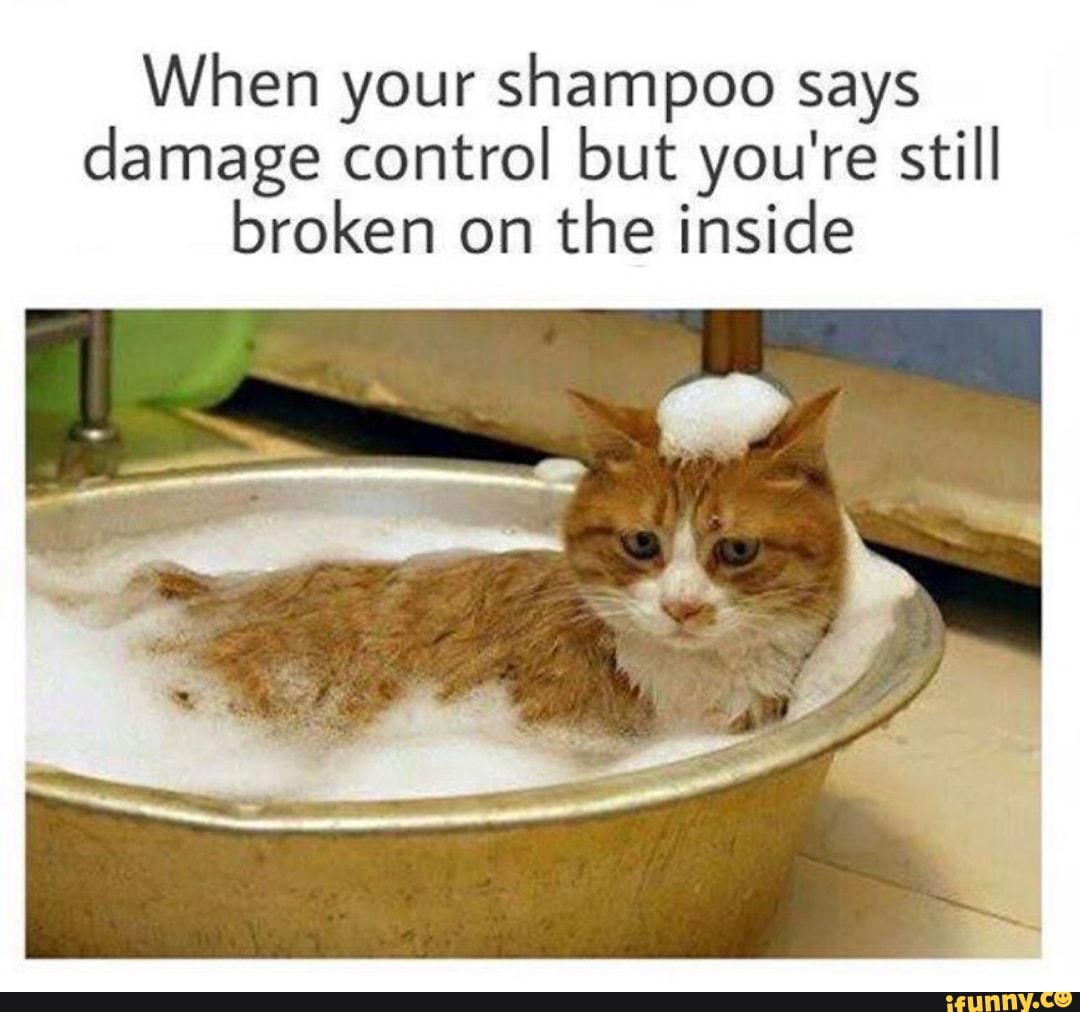When your shampoo says damage control but you're still broken on the ...