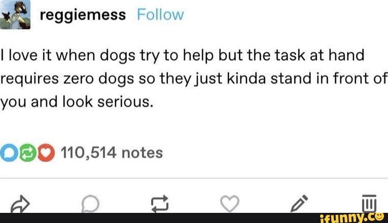 Picture memes jcdVGiqA7 by bonehurtingjuice_2019: 251 comments - iFunny