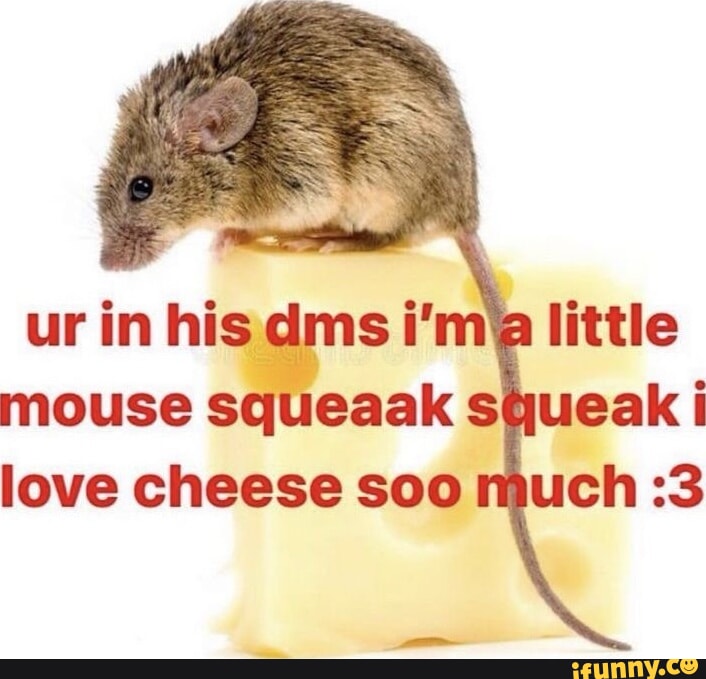 Squeak memes. Best Collection of funny Squeak pictures on iFunny