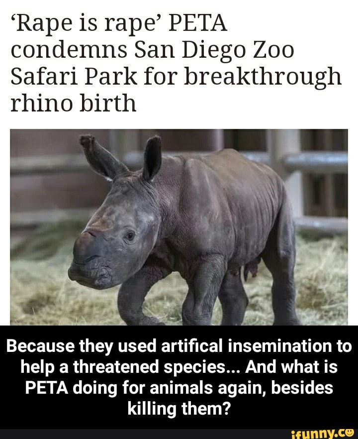 ‘Rape is rape’ PETA condemns San Diego Zoo Safari Park for breakthrough ...