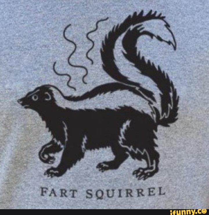 FART SQUIRREL - iFunny