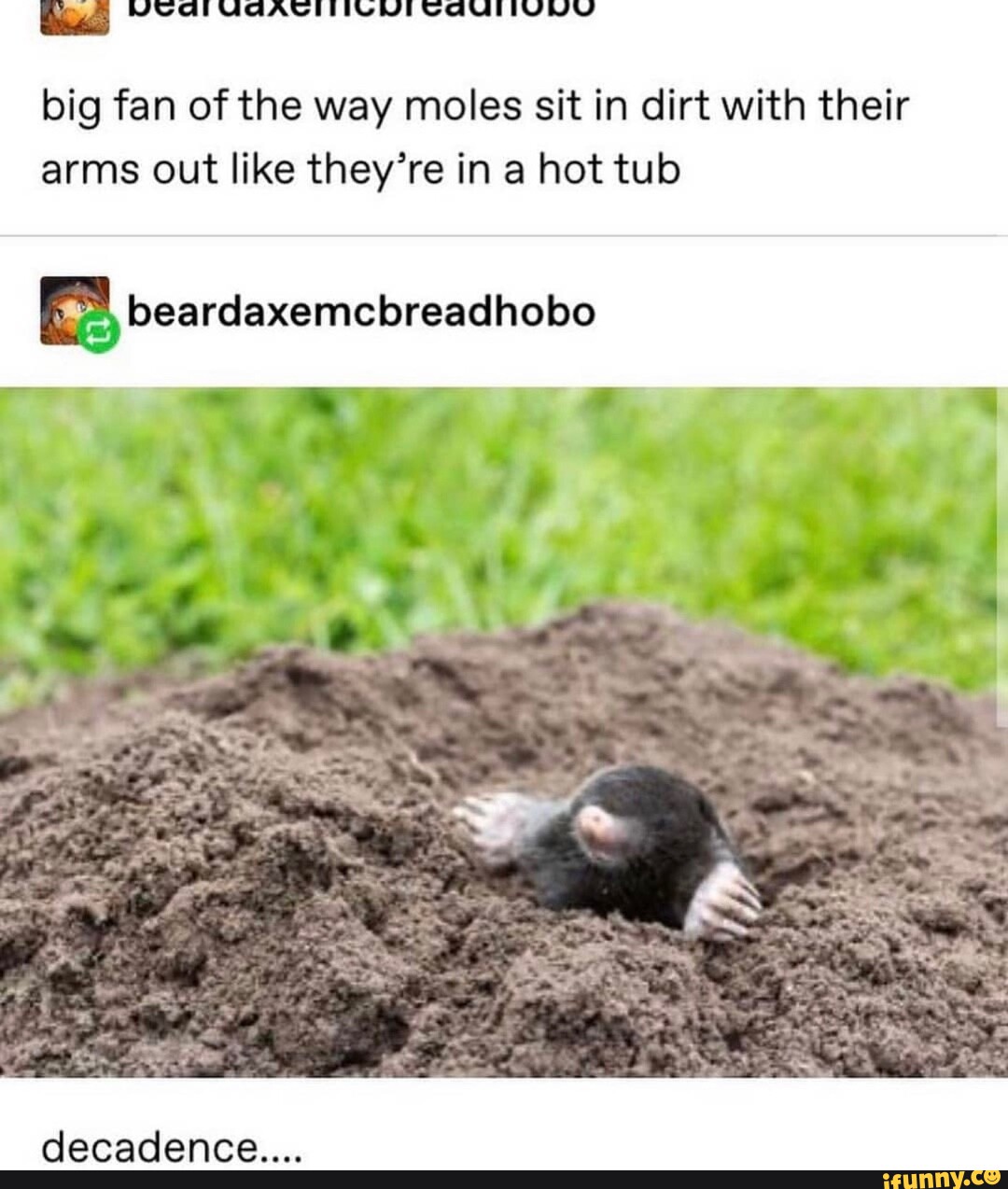 Moles memes. Best Collection of funny Moles pictures on iFunny