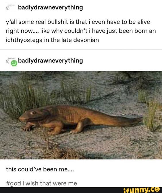 Ichthyostega memes. Best Collection of funny Ichthyostega pictures on ...